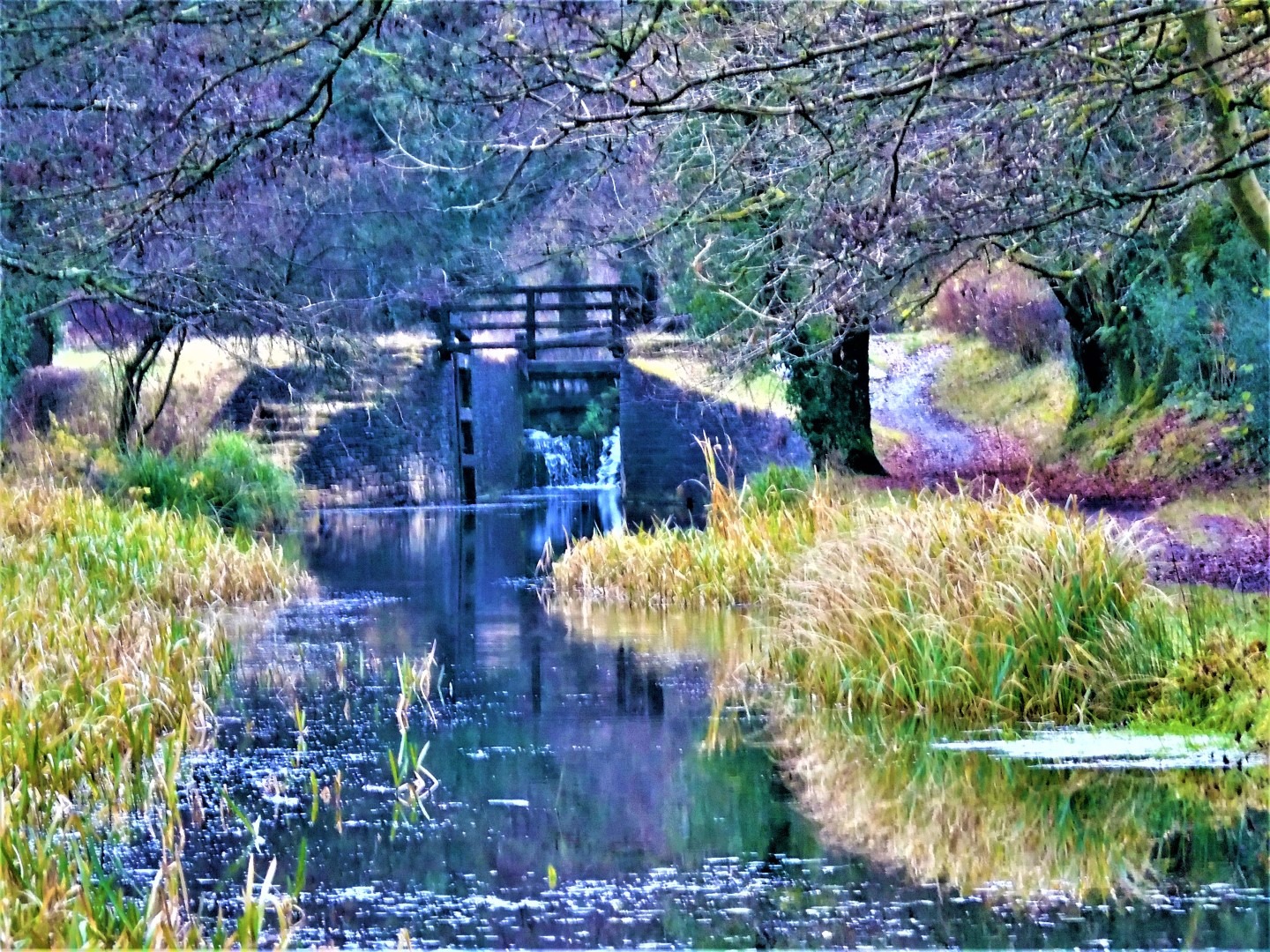 Gallery - Tŷ Banc Canal Group